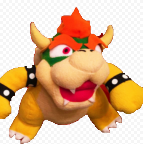 Bowser PNG Photo | Pxpng