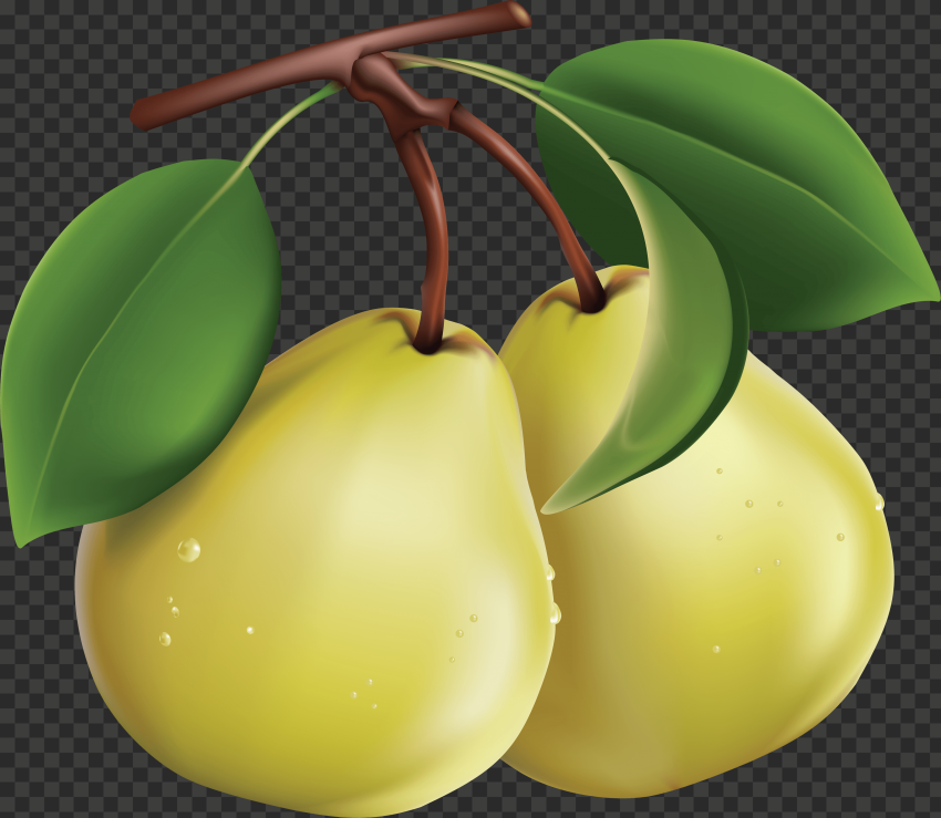 pear png image 2 | Pxpng
