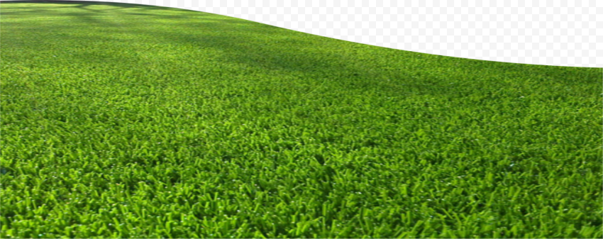 Landscape Grass Field Transparent PNG | Pxpng