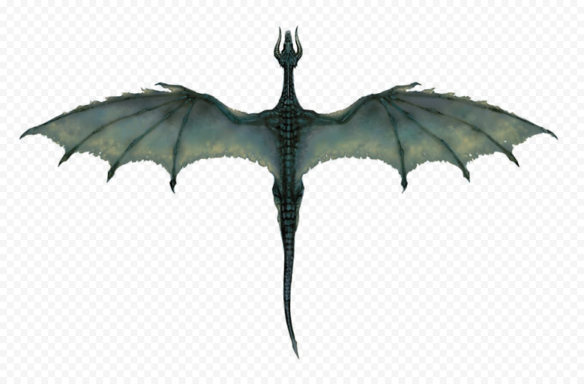 Flying Dragon PNG Clipart | Pxpng