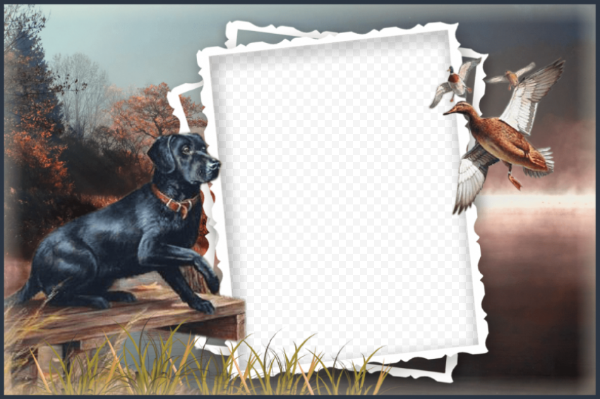 father's day frames PNG image with transparent background | Pxpng