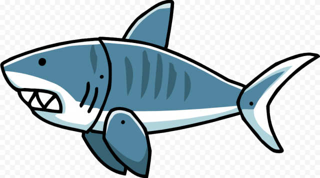 Whale Real Shark PNG Clipart | Pxpng